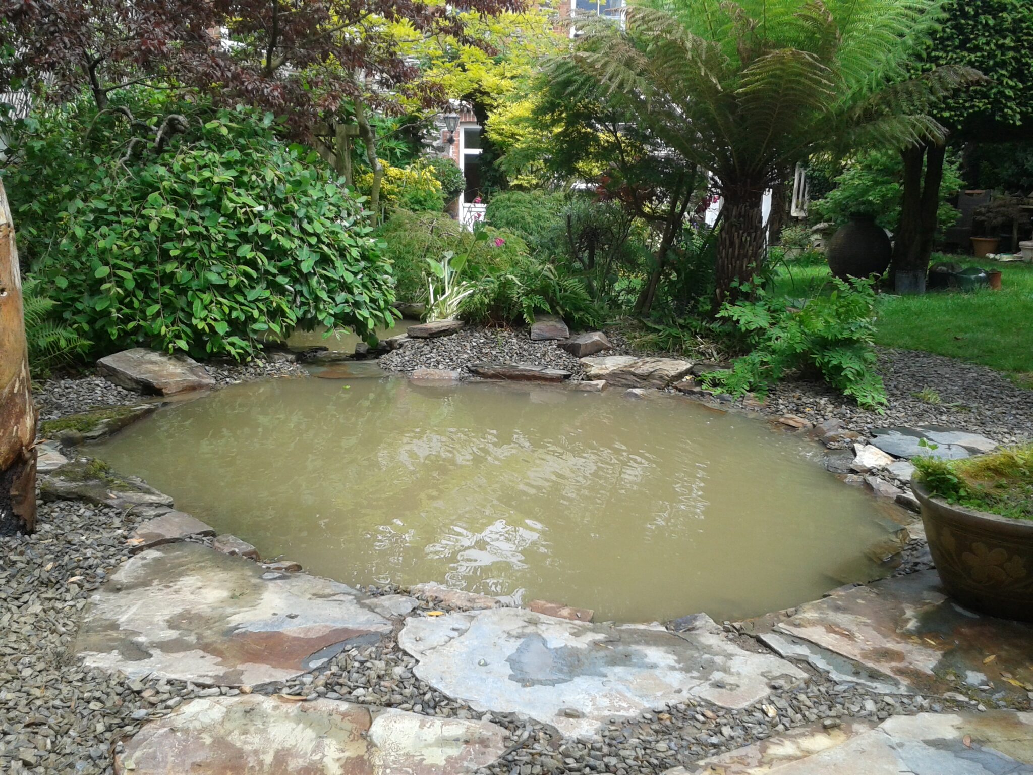 A Dip in the Pond - Williams Garden Services Cornwall
